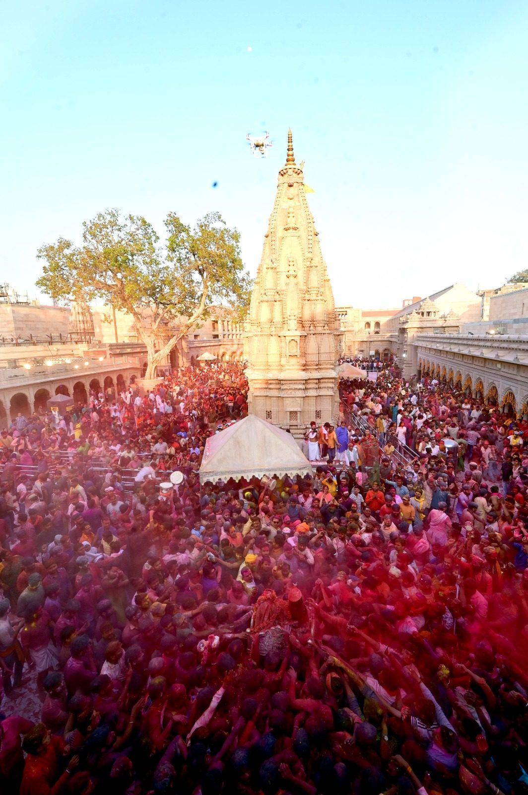 Kashi Holi: बाबा विश्वनाथ के दरबार में रंगों से सराबोर हुए श्रद्धालु ...